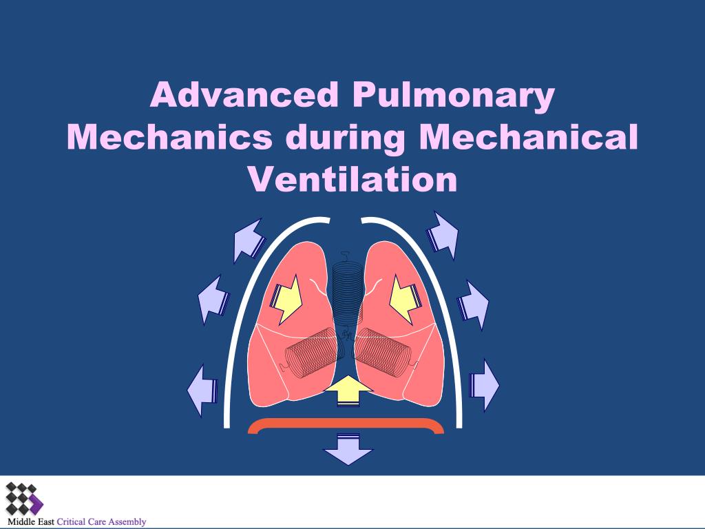 PPT - Advanced Pulmonary Mechanics during Mechanical Ventilation ...
