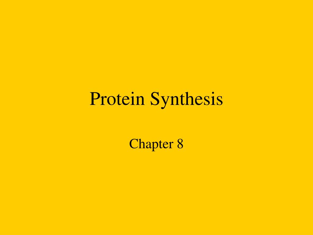 PPT - Protein Synthesis PowerPoint Presentation, free download - ID:2974874
