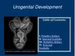 PPT - DEVELOPMENT OF UROGENITAL SYSTEM PowerPoint Presentation, free ...