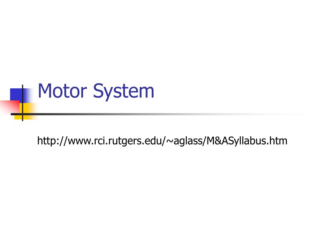 PPT - Motor System PowerPoint Presentation, free download - ID:2975261