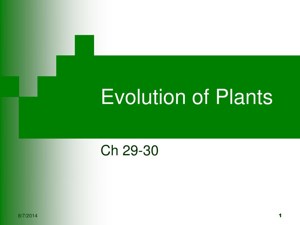 PPT - Evolution of Plants PowerPoint Presentation, free download - ID ...