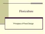 PPT - Floriculture PowerPoint Presentation, free download - ID:45626
