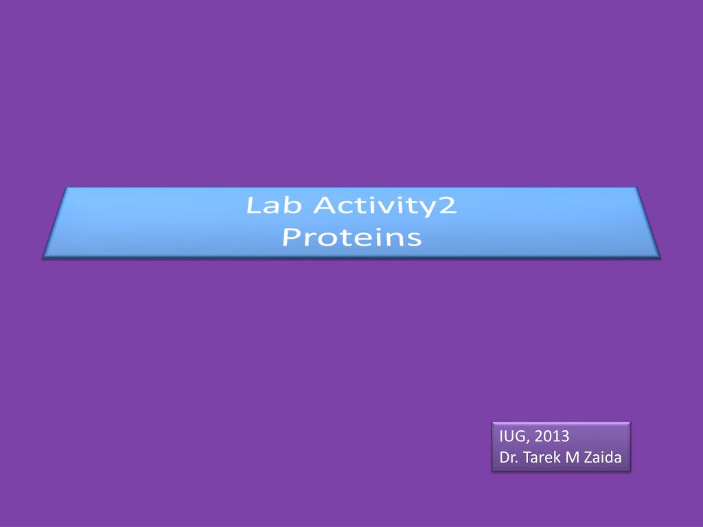 PPT - Lab Activity2 Proteins PowerPoint Presentation, free download ...