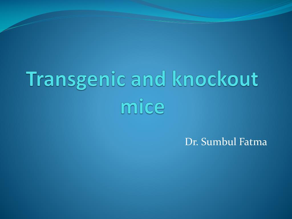 PPT - Transgenic and knockout mice PowerPoint Presentation, free ...