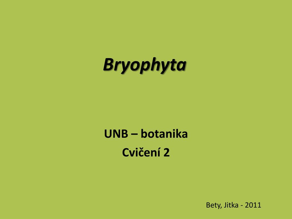PPT - Bryophyta PowerPoint Presentation, free download - ID:2976465