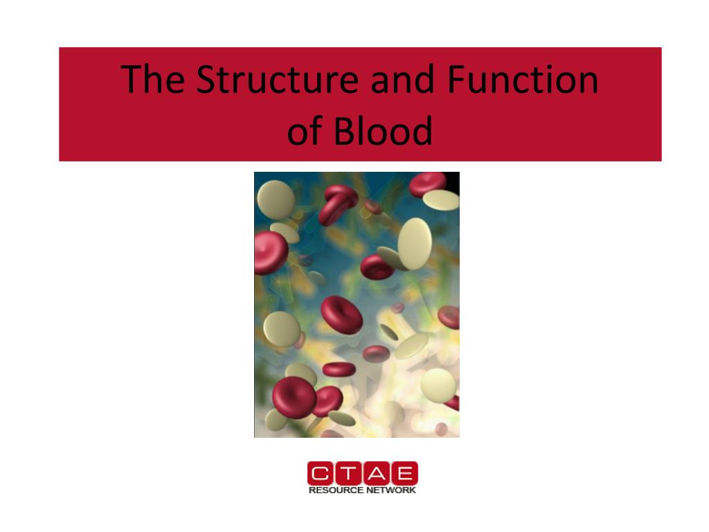 PPT - The Structure and Function of Blood PowerPoint Presentation, free ...