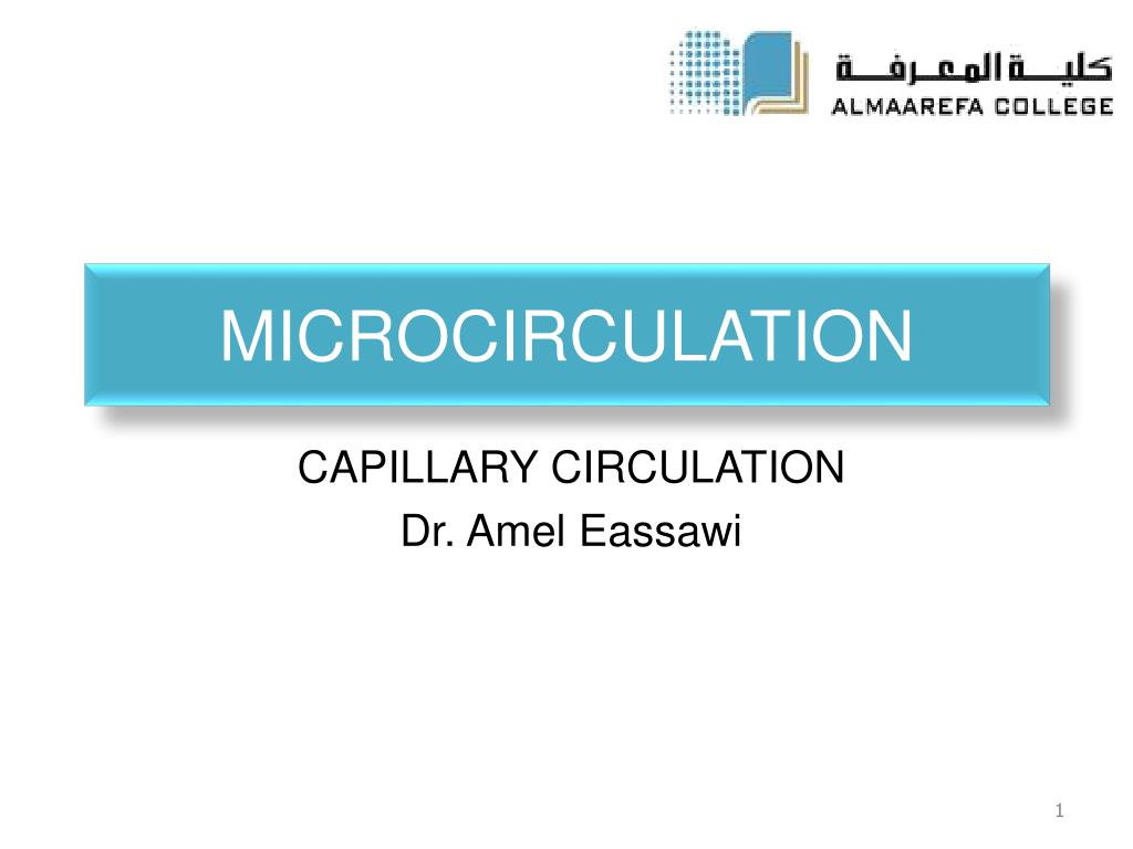 PPT - MICROCIRCULATION PowerPoint Presentation, free download - ID:2977867