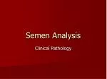 PPT - Semen Analysis PowerPoint Presentation, free download - ID:3003130
