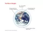 PPT - Evolution of Oxygen in the Atmosphere PowerPoint Presentation ...