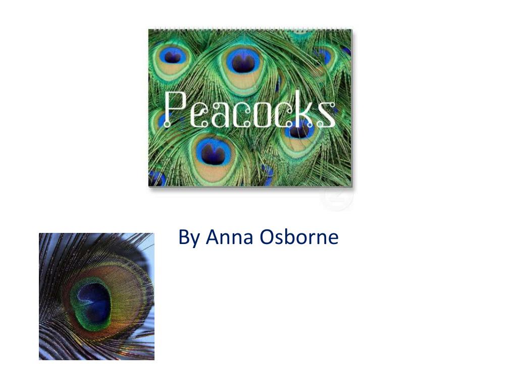 PPT - Peacocks PowerPoint Presentation, free download - ID:2985920