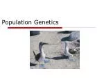 PPT - Population Genetics PowerPoint Presentation, free download - ID ...