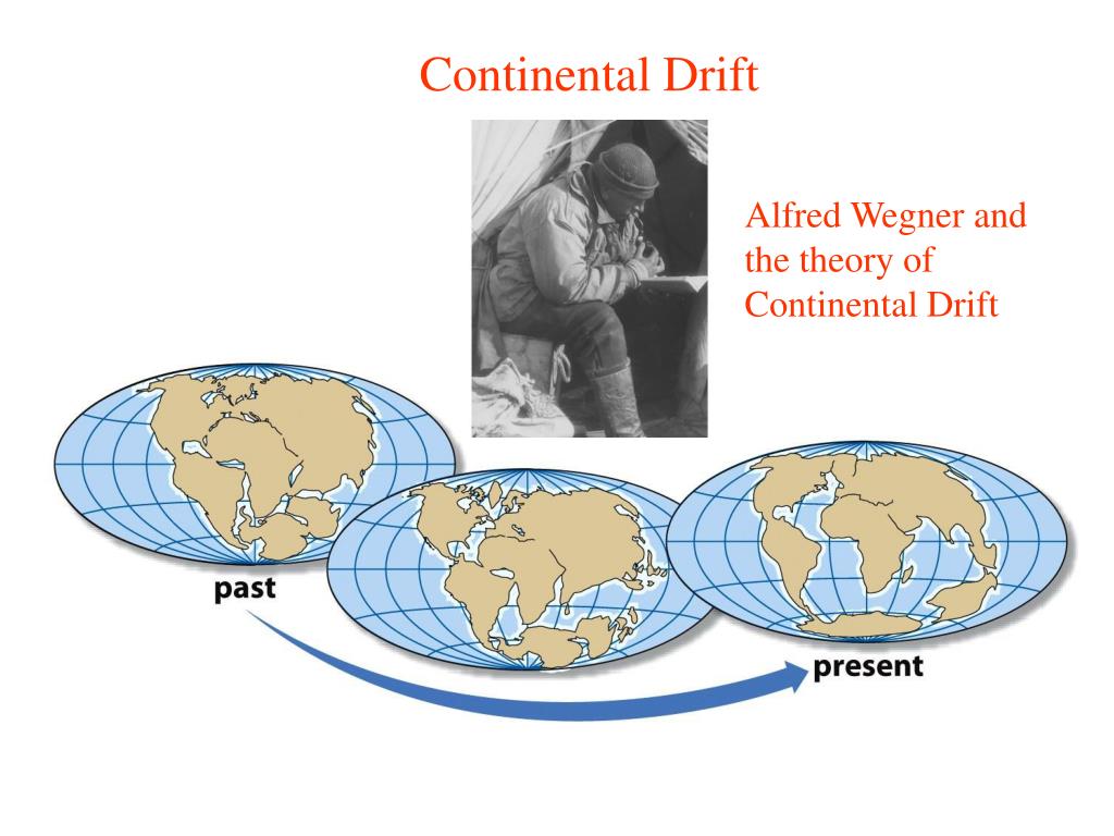 PPT - Continental Drift PowerPoint Presentation, free download - ID:2987113