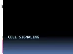 PPT - Cell Signaling I Signaling molecules and their receptors ...