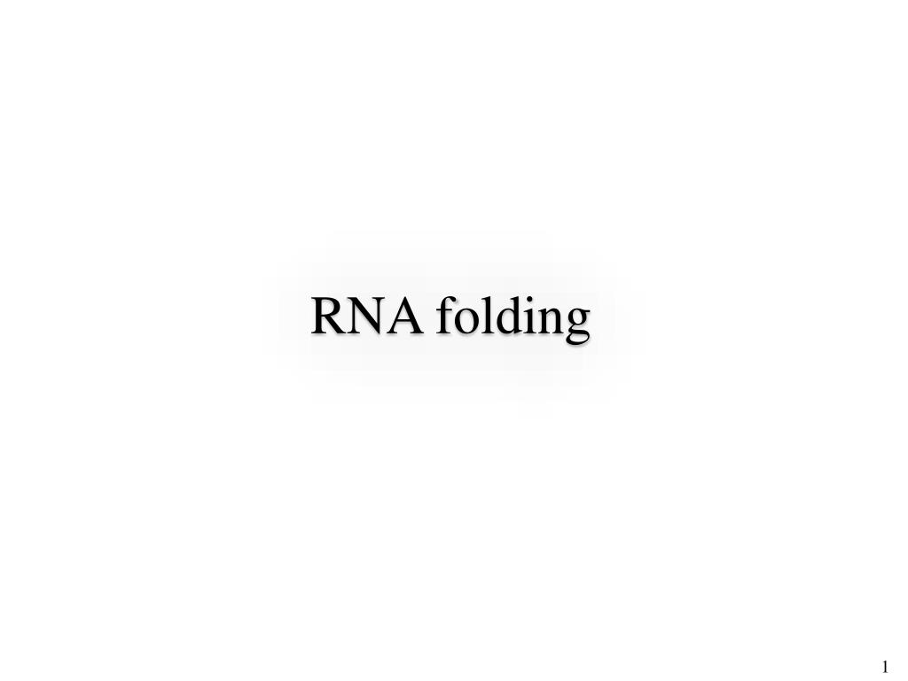 PPT - RNA folding PowerPoint Presentation, free download - ID:2987244