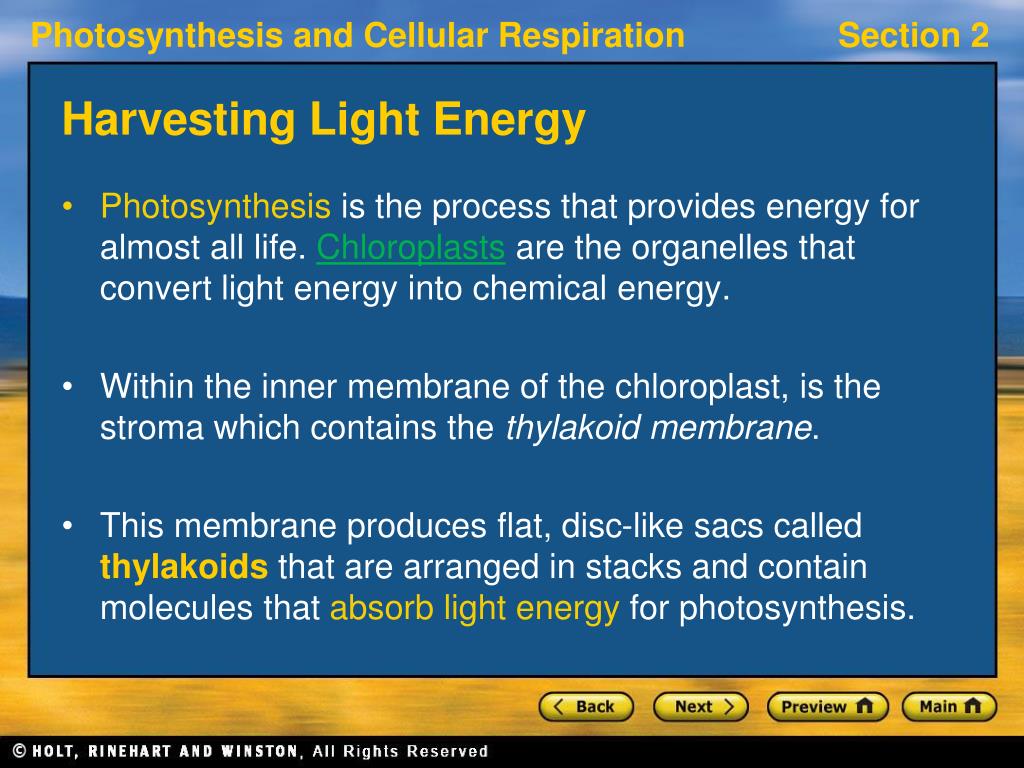 PPT - Harvesting Light Energy PowerPoint Presentation, free download ...
