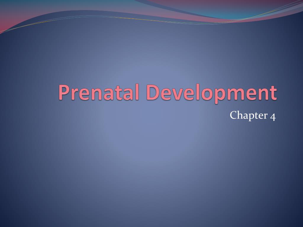PPT - Prenatal Development PowerPoint Presentation, free download - ID ...