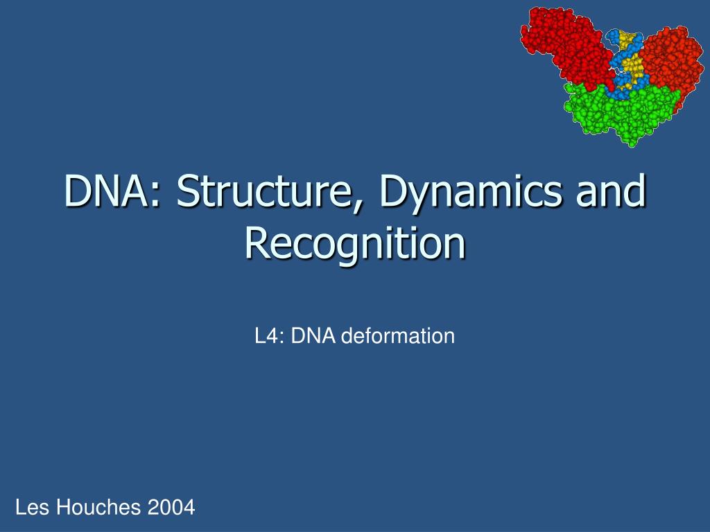 PPT - DNA: Structure, Dynamics and Recognition PowerPoint Presentation ...