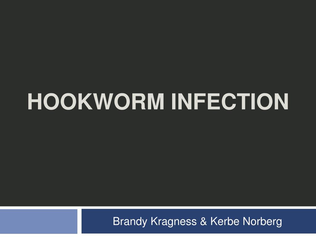 Ppt Hookworm Infection Powerpoint Presentation Free Download Id