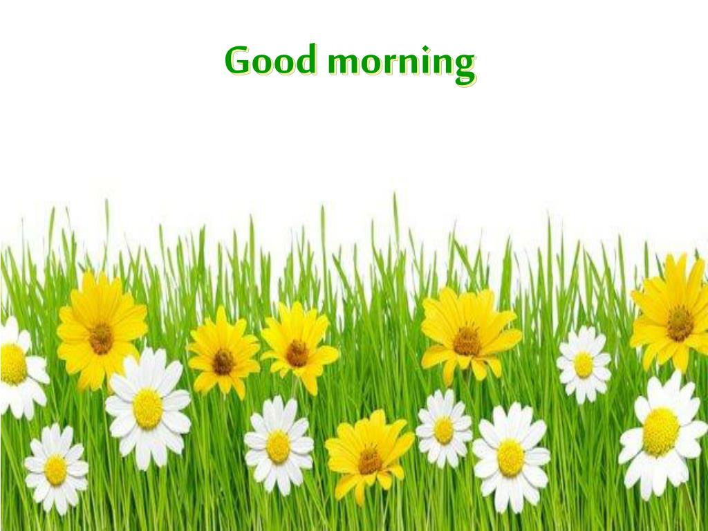 PPT - Good morning PowerPoint Presentation, free download - ID:2991229