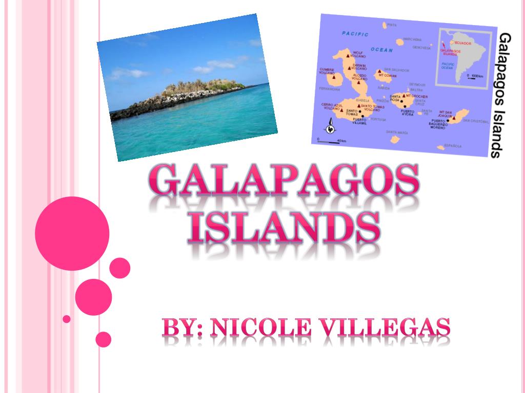 PPT - Galapagos Islands PowerPoint Presentation, free download - ID:2992764
