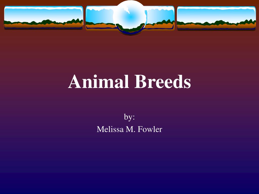 PPT - Animal Breeds PowerPoint Presentation, free download - ID:2993023