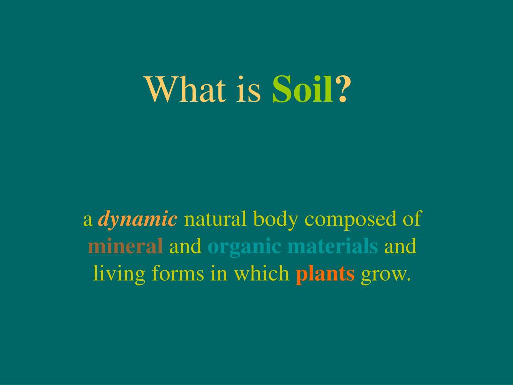 PPT - What is Soil ? PowerPoint Presentation, free download - ID:2993047