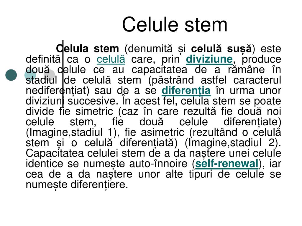 PPT - Celule stem PowerPoint Presentation, free download - ID:2996233