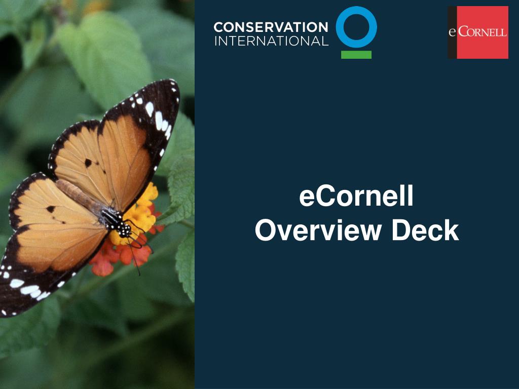 PPT - eCornell Overview Deck PowerPoint Presentation, free download ...