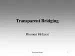PPT - Transparent Electronics PowerPoint Presentation, free download ...