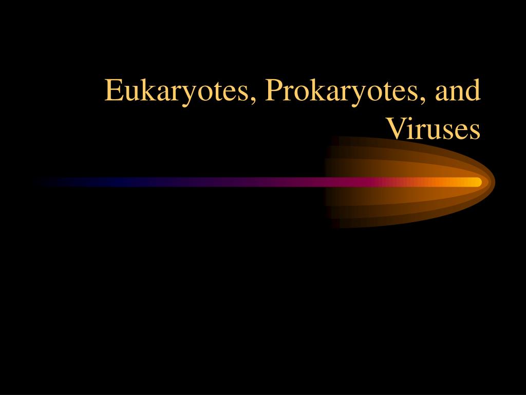 PPT - Eukaryotes, Prokaryotes, and Viruses PowerPoint Presentation ...