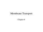 PPT - Membrane Transport PowerPoint Presentation, free download - ID ...