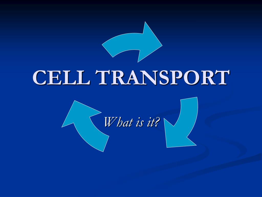 PPT - CELL TRANSPORT PowerPoint Presentation, free download - ID:3005255
