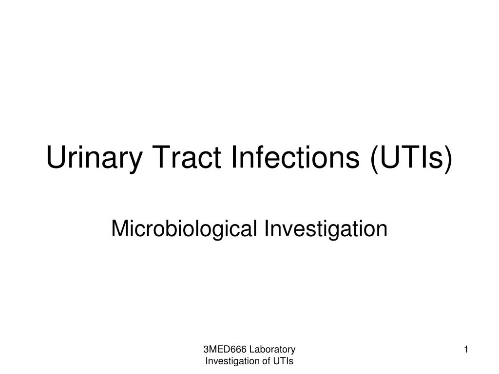 PPT - Urinary Tract Infections (UTIs) PowerPoint Presentation, free ...