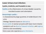 PPT - Urinary Tract Infection PowerPoint Presentation, free download ...