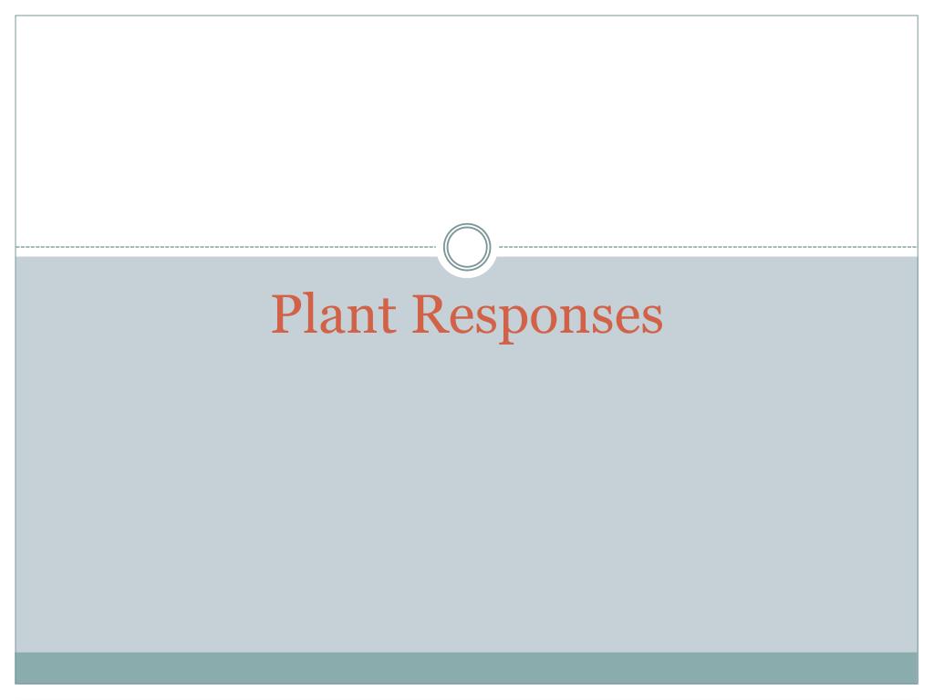 PPT - Plant Responses PowerPoint Presentation, free download - ID:3008746