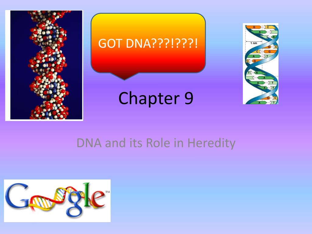 PPT - Chapter 9 PowerPoint Presentation, free download - ID:3009303