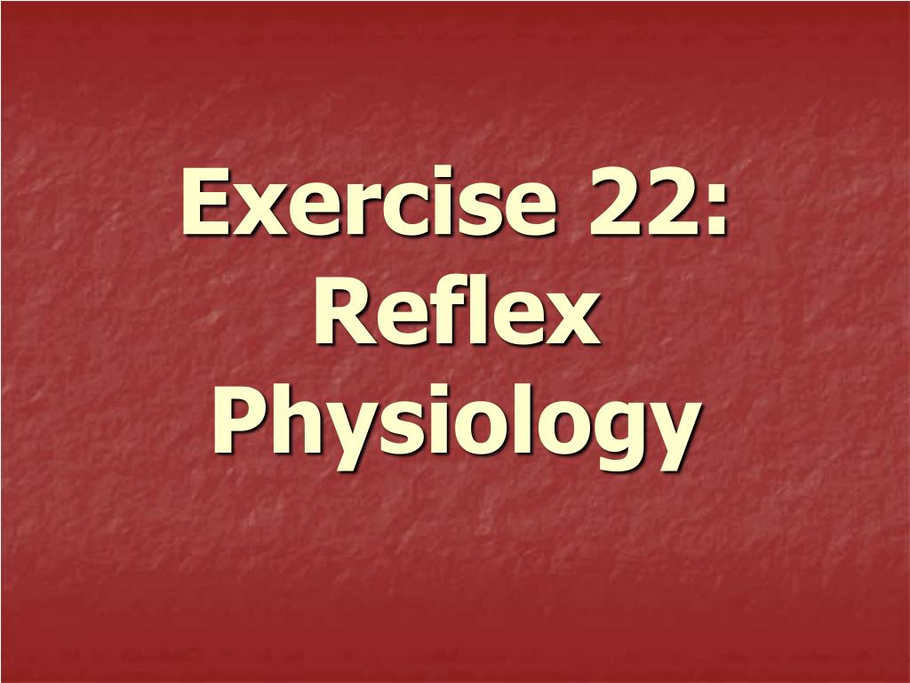 PPT - Exercise 22: Reflex Physiology PowerPoint Presentation, free ...