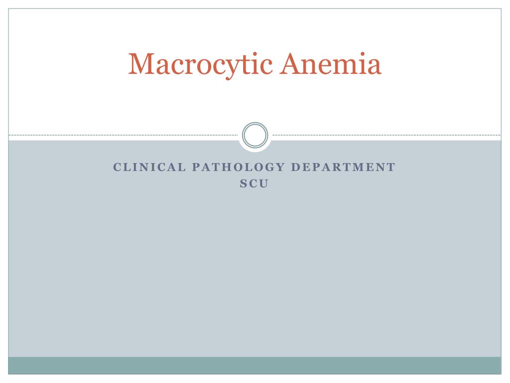 PPT - Macrocytic Anemia PowerPoint Presentation, free download - ID:3011826