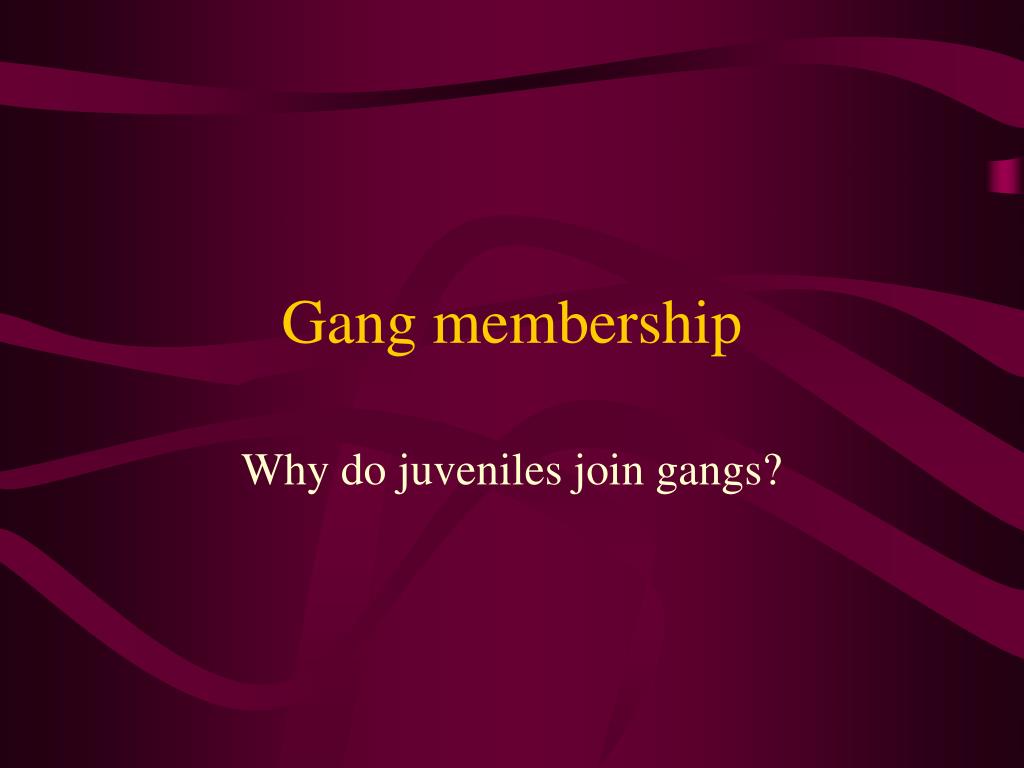 PPT - Gang membership PowerPoint Presentation, free download - ID:3012206