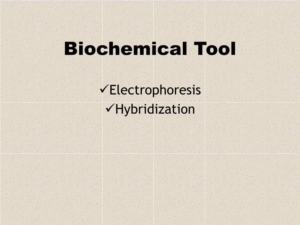 PPT - Biochemical Tool PowerPoint Presentation, free download - ID:3014192