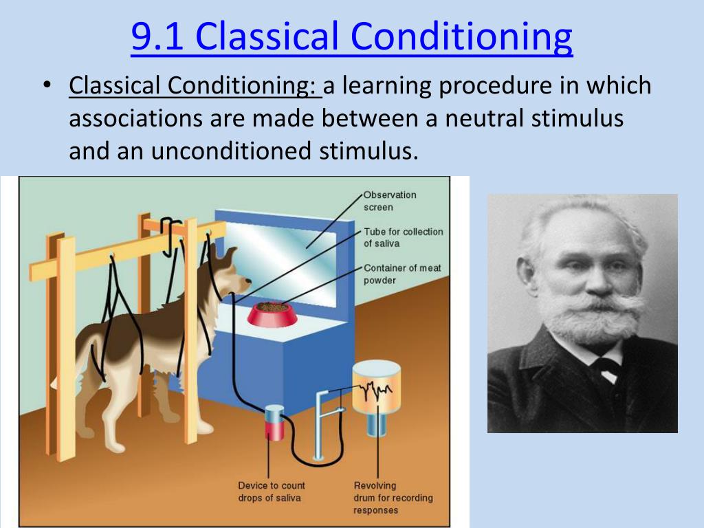 PPT - 9.1 Classical Conditioning PowerPoint Presentation, free download ...