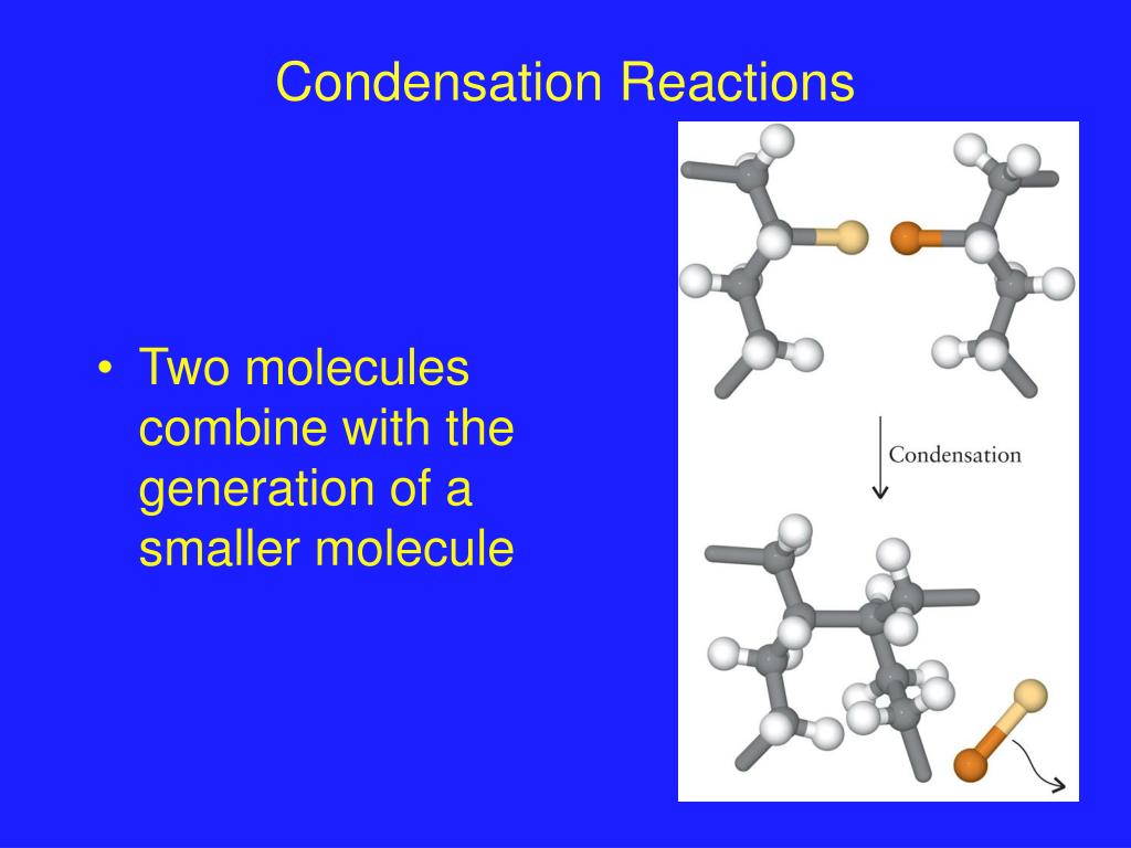 PPT - Condensation Reactions PowerPoint Presentation, free download ...
