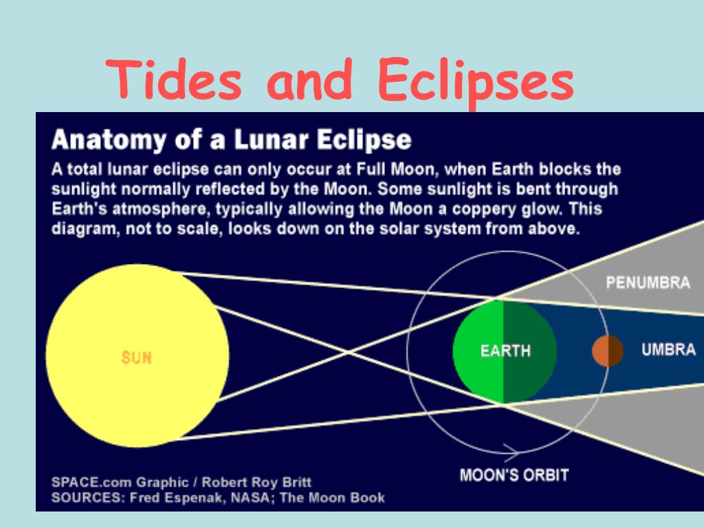 PPT - Tides and Eclipses PowerPoint Presentation, free download - ID ...