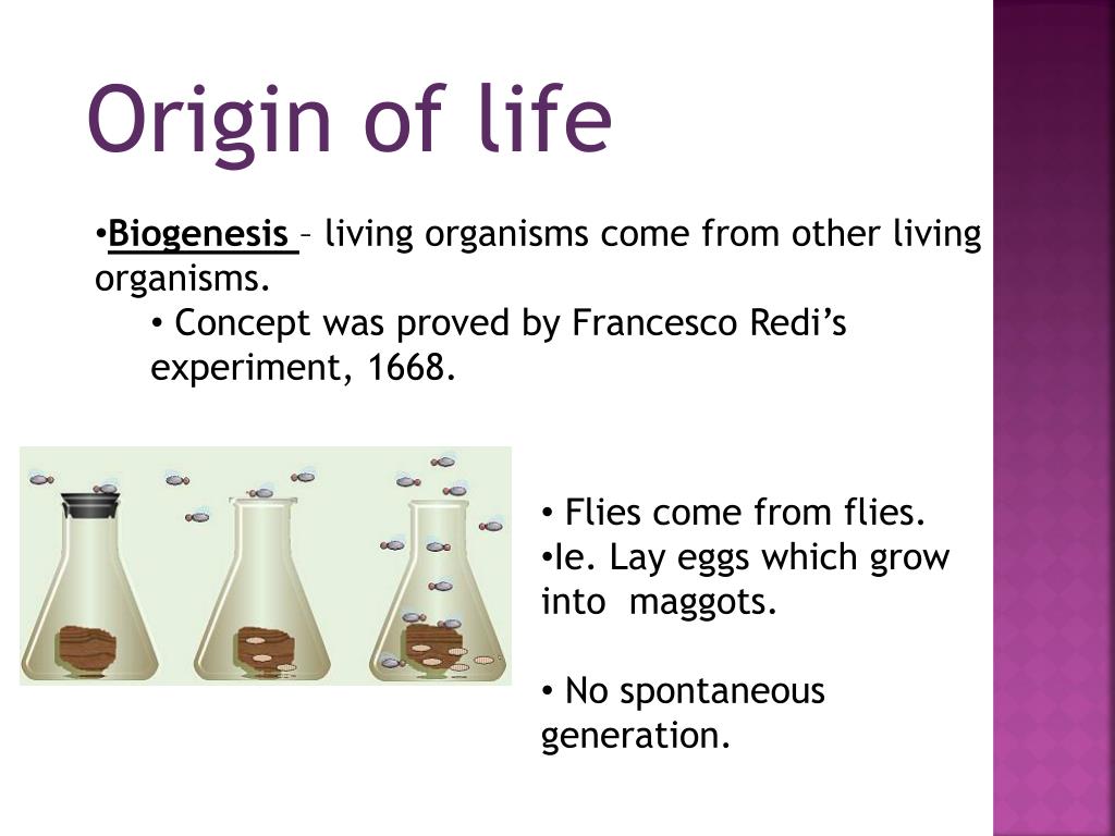PPT - Origin of life PowerPoint Presentation, free download - ID:3018053