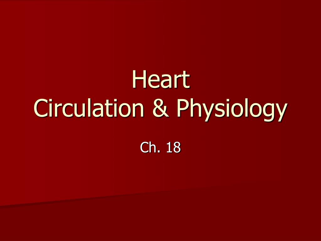 PPT - Heart Circulation & Physiology PowerPoint Presentation, free ...
