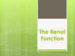 PPT - RENAL FUNCTION TEST PowerPoint Presentation, free download - ID ...