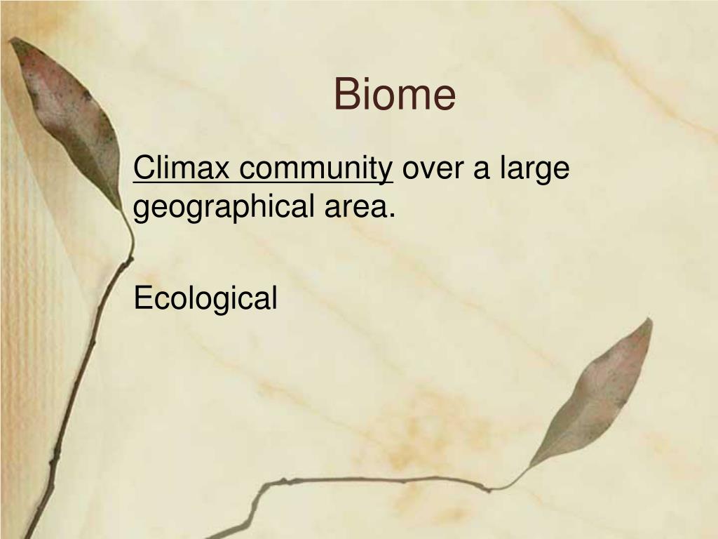 PPT - Biome PowerPoint Presentation, free download - ID:3026059