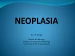 PPT - Neoplasia PowerPoint Presentation, free download - ID:780046