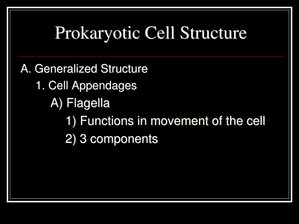 PPT - Prokaryotic Cell Structure PowerPoint Presentation, free download ...