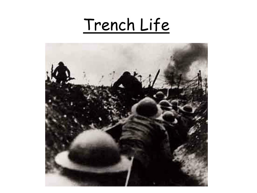 PPT - Trench Life PowerPoint Presentation, free download - ID:3028549